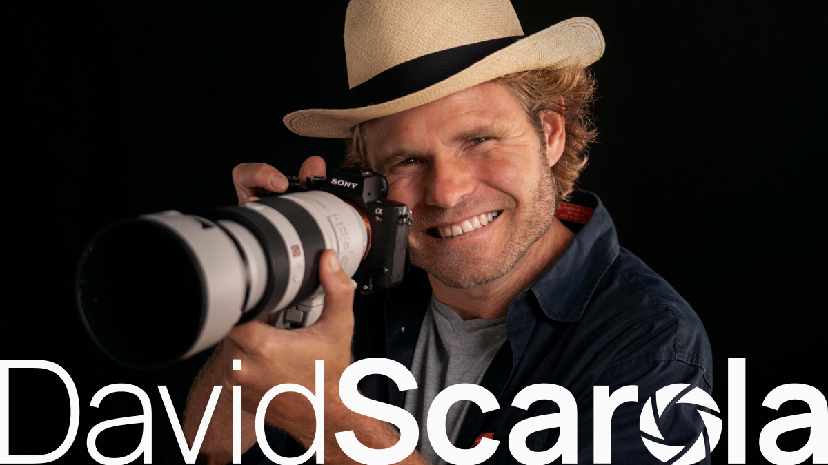 Store - David Scarola